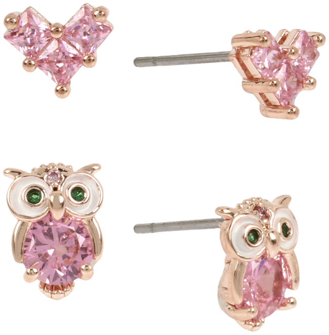 Betsey johnson owl earrings store